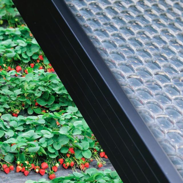 Insolight: i pannelli solari con le bolle arrivano sui campi