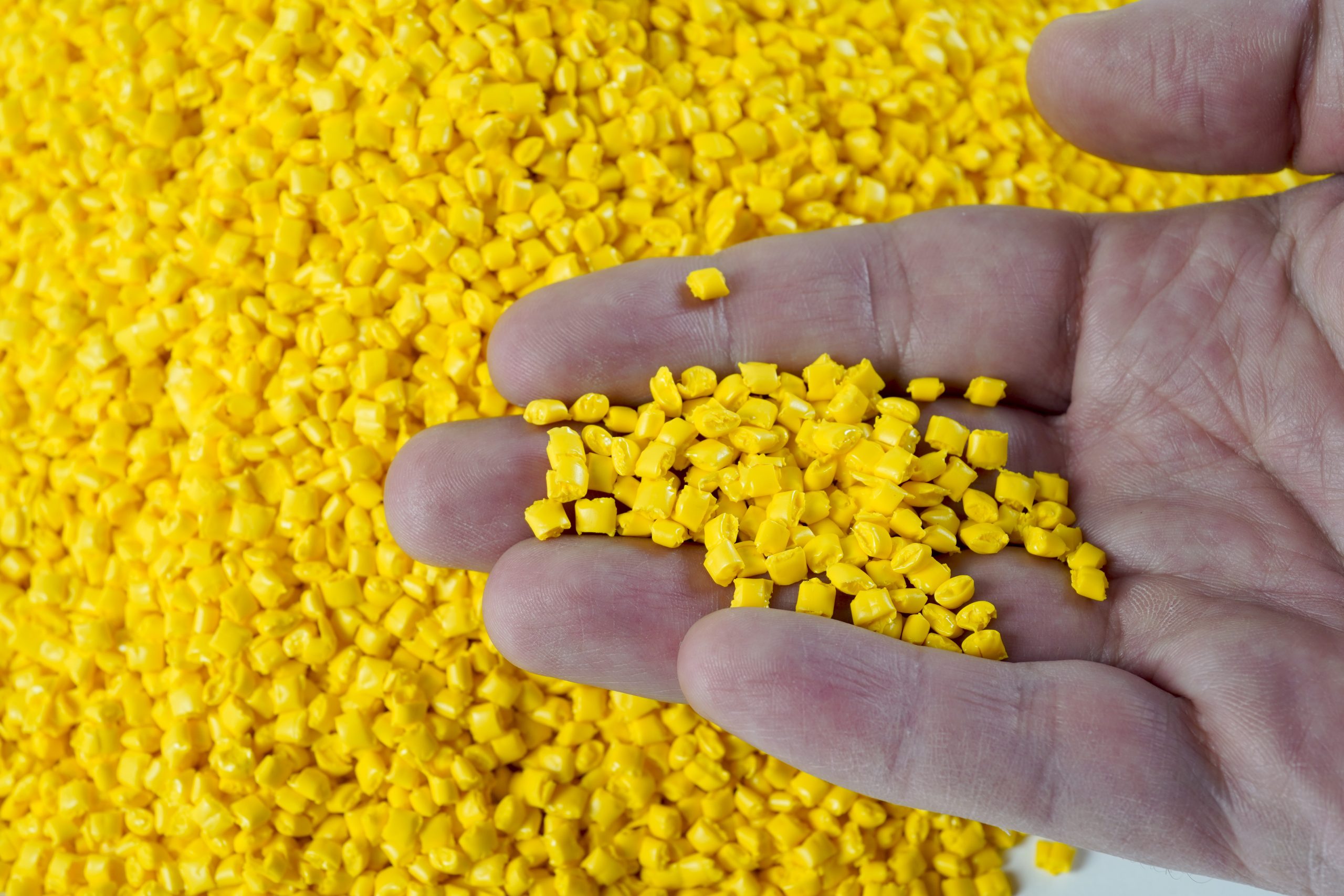MyReplast ™, il nuovo marchio del riciclo della plastica
