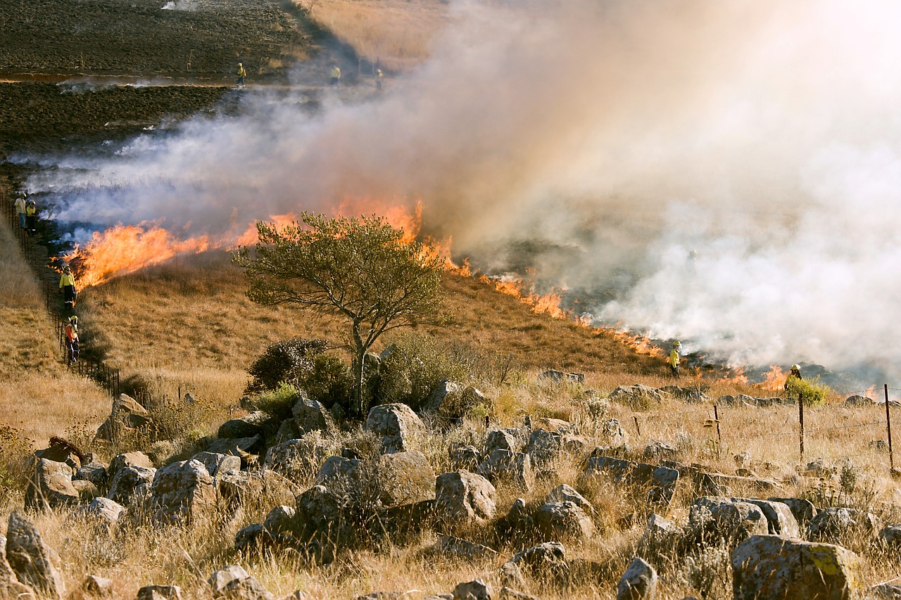 Incendi boschivi, scatta dal 15 giugno al 12 settembre la “fase di ... Incendi boschivi, scatta dal 15 giugno al 12 settembre la “fase di ...