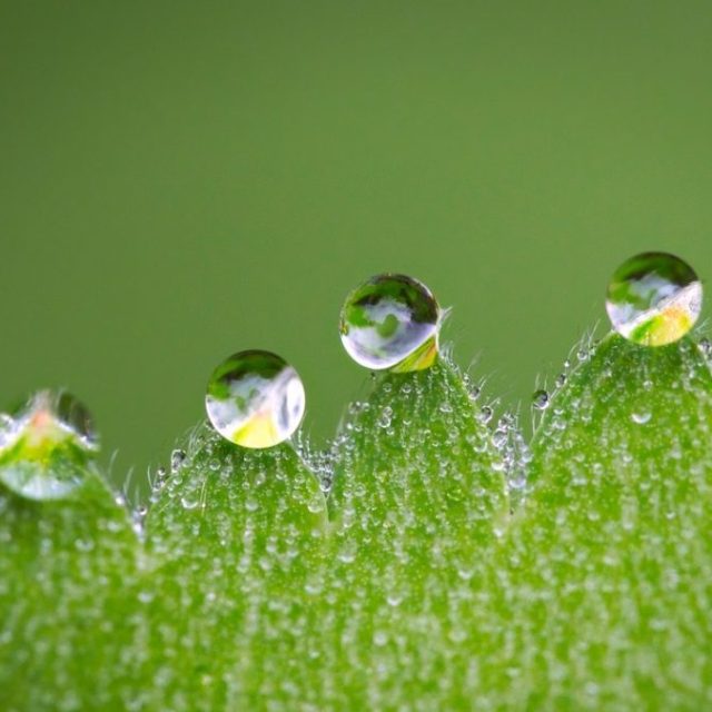 Ammoniaca verde: l’Australia aggiunge 6GW per dominare l’export
