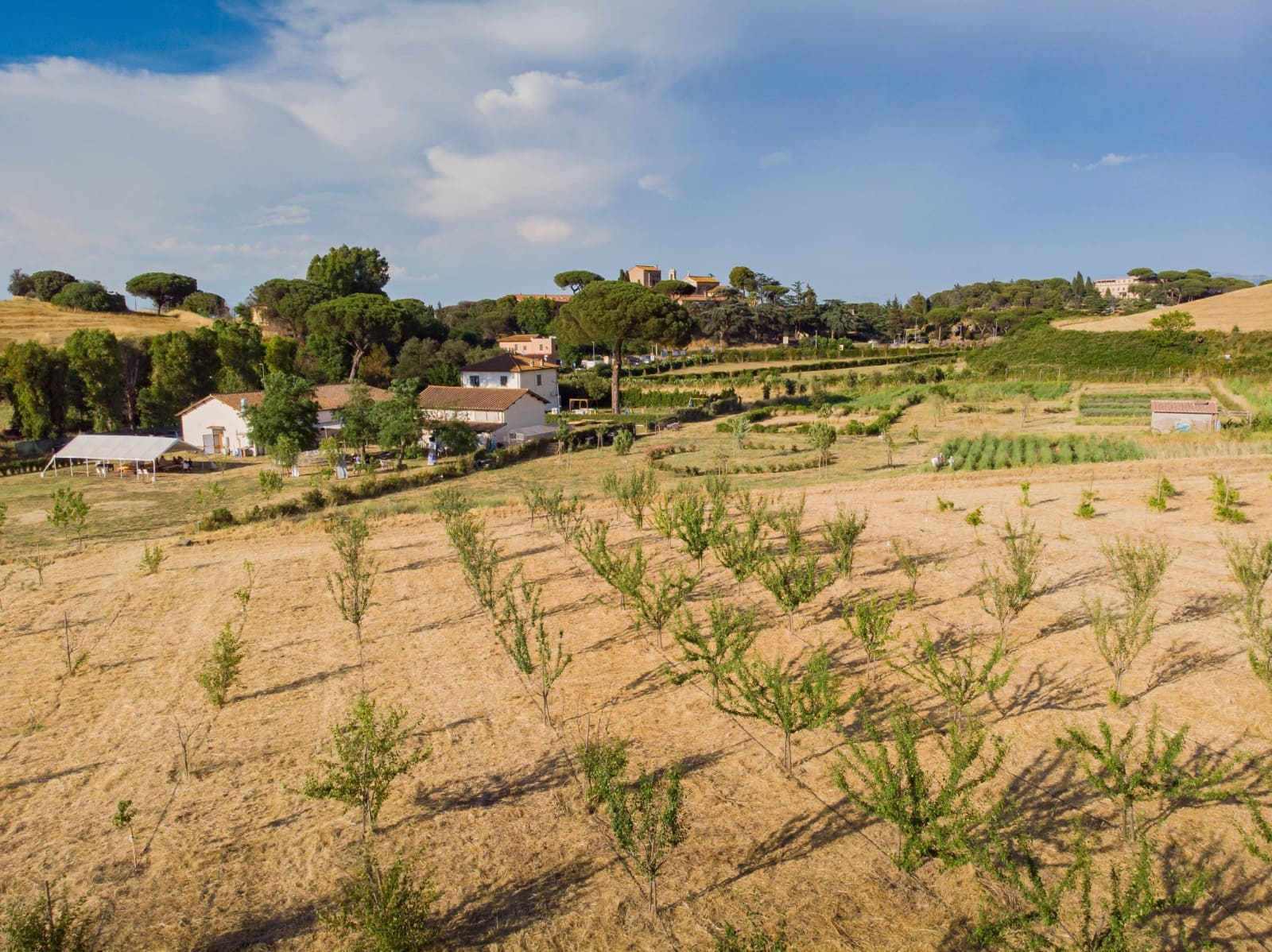 Nel Frutteto Solidale si curano persone e ambiente | Rinnovabili