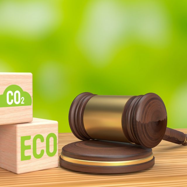 Clima e diritti umani: CEDU, Stati obbligati a proteggere cittadini